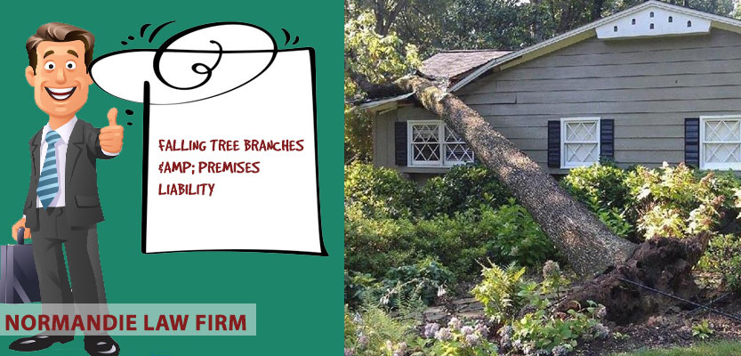 Lawyer to Sue Against Mobile Home for Fallen Tree Accident